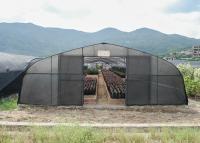 China Economical Easy Install Plastic Polytunnel Greenhouse For Edible Mushroom Cultivation for sale