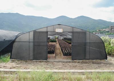 China Economical Easy Install Plastic Polytunnel Greenhouse For Edible Mushroom Cultivation for sale