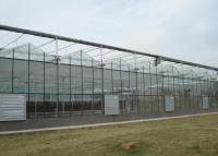 China High Transmittance, Weld-Free VENLO Greenhouses For Premium Crop Seedlings & Growth for sale