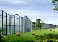 China Sturdy Structure, Adjustable Climate VENLO Glass Greenhouses For Strawberry & Flower Cultivation for sale