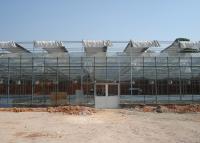 China Sturdy Structure, Adjustable Climate VENLO Glass Greenhouses For Strawberry & Flower Cultivation for sale