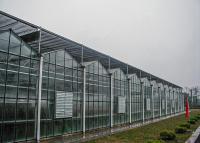 China Glass Greenhouses With Thermal Curtain For Perfect Illumination-Deficient Floriculture for sale