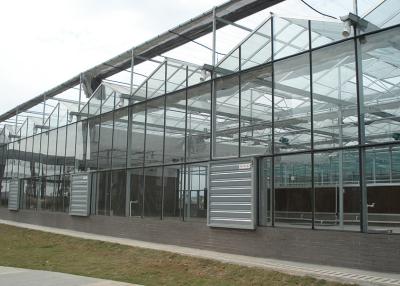 China Glass Greenhouses With Thermal Curtain For Perfect Illumination-Deficient Floriculture for sale