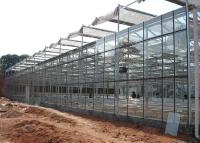 China Transparent, Easy-Assemble Galvanized VENLO Greenhouses For Efficient High-Value Agriculture for sale