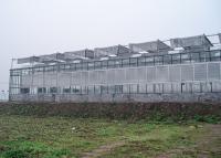 China Transparent, Easy-Assemble Galvanized VENLO Greenhouses For Efficient High-Value Agriculture for sale