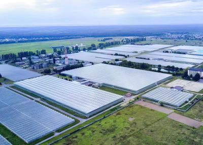 China Weldless Multi Span Greenhouse Galvanized Frame For Bountiful Flower for sale