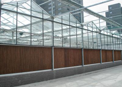 China Heat & Cool Adjustable, Beautiful Good Looking VENLO Glass Greenhouses for sale