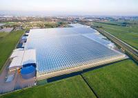 China Weldless Multi Span Greenhouse Galvanized Frame For Bountiful Flower for sale