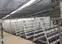 China Water Efficient NFT Hydroponics System With Automated Management for sale