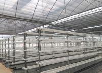 China Vertical Automated Pvc Nft Hydroponics System Nft Hydroponic Farm for sale