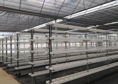 China Vertical Automated Pvc Nft Hydroponics System Nft Hydroponic Farm for sale
