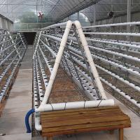 China Water Efficient NFT Hydroponics System With Automated Management for sale