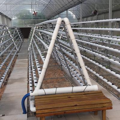 China Water Efficient NFT Hydroponics System With Automated Management for sale