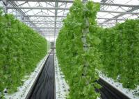 China Space Saving Vertical Nft Hydroponic System Eco Friendly Recycles Water Resources for sale