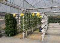 China Multi Tier NFT Automated Hydroponic System Strong Adaptability For High Density Planting for sale