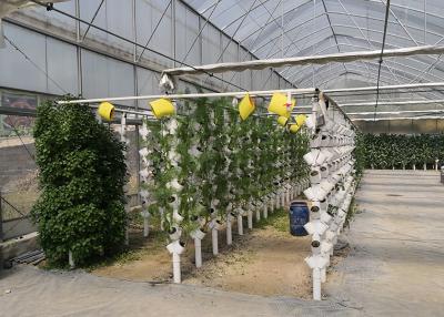 China Multi Tier NFT Automated Hydroponic System Strong Adaptability For High Density Planting for sale