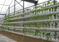 China Multi Tier NFT Automated Hydroponic System Strong Adaptability For High Density Planting for sale