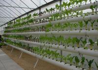 China Space Saving Vertical Nft Hydroponic System Eco Friendly Recycles Water Resources for sale