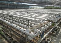 China Multi Tier NFT Automated Hydroponic System Strong Adaptability For High Density Planting for sale