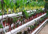 China Automated Vertical Nft System For Vegetables Irrigation Hydroponics Eqiupment for sale