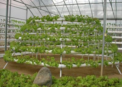 China Easy Maintenance Nutrient Film Technique System With Strong Adaptability for sale