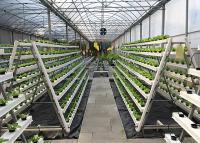 China Easy Maintenance Nutrient Film Technique System With Strong Adaptability for sale