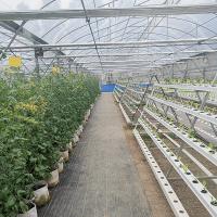 China Vertical NFT Hydroponics System With Food Grade PVC Channel Space Saving for sale