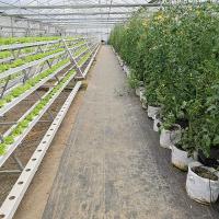 China Vertical NFT Hydroponics System With Food Grade PVC Channel Space Saving for sale