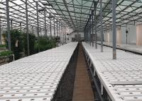 China Water Saving Flat NFT Hydroponic System Eco Friendly Design For Leafy Greens for sale