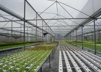 China Disease Resistant NFT Hydroponic System UV Sterilization Included Vertical Hydroponic System for sale