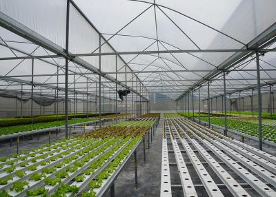 China Disease Resistant NFT Hydroponic System UV Sterilization Included Vertical Hydroponic System for sale