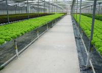 China Disease Resistant NFT Hydroponic System UV Sterilization Included Vertical Hydroponic System for sale