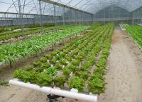 China Eco Friendly NFT Hydroponic System Water Saving With Automated Management for sale