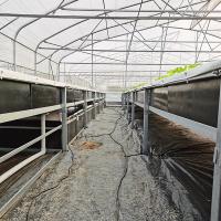 China Stable DWC Hydroponics System Fertilizer Saving For Cultivating Green Plants for sale