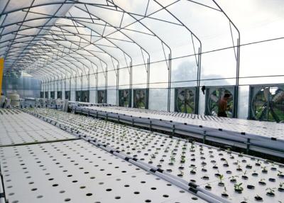 China Quick Growing DWC Hydroponics System Perfect Commercial For Fast Harvest Vegetables for sale