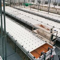 China Quick Growing DWC Hydroponics System Perfect Commercial For Fast Harvest Vegetables for sale