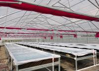 China Temperature Controlled DWC Hydroponics System High Density For Intensive Vegetable Planting for sale