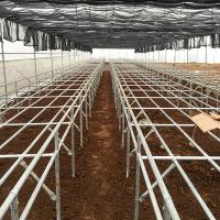 China Space Saving DWC Hydroponics System Oxygen Rich For Small Space Vegetable Gardening for sale