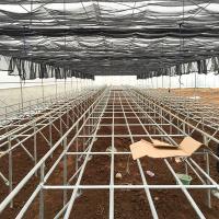 China Easy Maintenance Customizable Deep Water Cycle Hydroponics With Water Chiller for sale