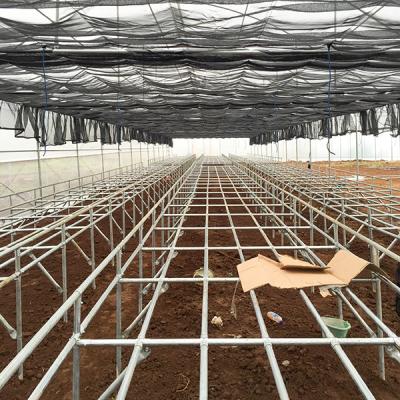 China Easy Maintenance Customizable Deep Water Cycle Hydroponics With Water Chiller for sale