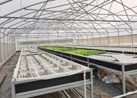 China Durable Nutrient Recycling Deep Water Grow System Recirculating Dwc System for sale