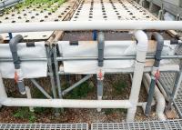 China Space Saving DWC Hydroponics System Oxygen Rich For Small Space Vegetable Gardening for sale