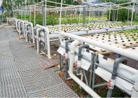 China Auto Circulation PH Stable Dwc Grow System Deep Water Hydroponics for sale