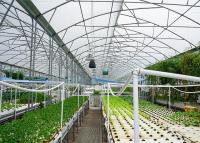 China Commercial Recirculating Deep Water Culture System Customizable For Vegetable Cultivation for sale