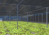 China UV Resistant Net House And Polyhouse Black For Seedling Nurseries for sale
