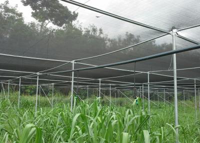 China No Welding UV Blocking Shade Net House For Recreational Areas for sale