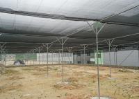 China Ventilation Lightweight Flat Roof Shade Net House For Vegetable Cultivation for sale