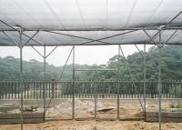 China Ventilation Lightweight Flat Roof Shade Net House For Vegetable Cultivation for sale
