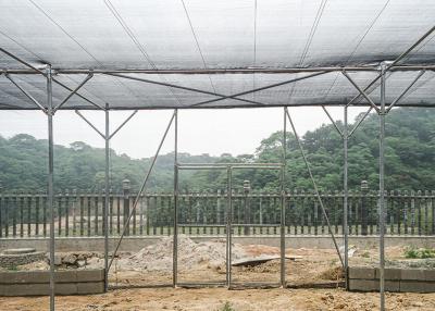 China Ventilation Lightweight Flat Roof Shade Net House For Vegetable Cultivation for sale