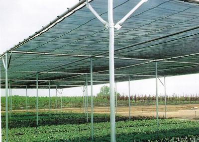 China Customized Insect Protection Shade House Greenhouse Garden Shade House for sale